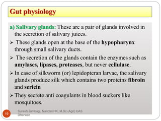 Digestive system in insects | PPTX
