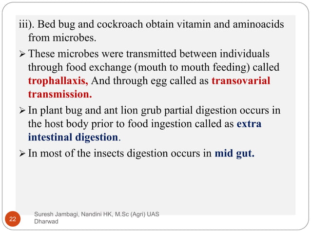 Digestive system in insects | PPTX | Biological Sciences | Science