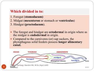 Digestive system in insects | PPTX