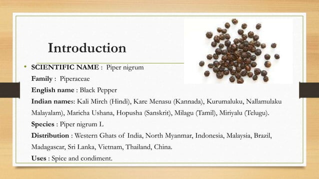 Black pepper | PPTX