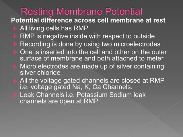Resting Membrane Potential | PPTX