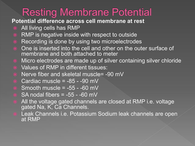 Resting Membrane Potential | PPTX