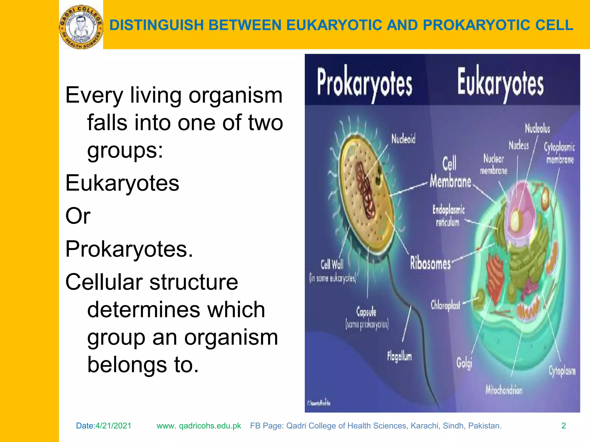 4. distinguish bw eukaryoticand prokaryotic cell. | PPTX