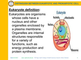 Eukaryotic Definition