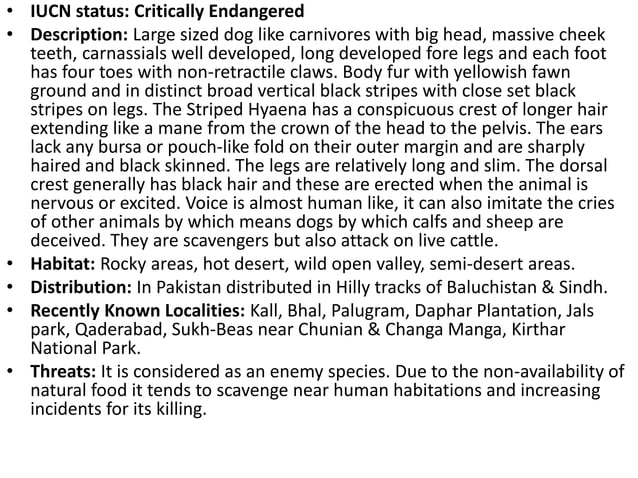 animals distribution | PPT
