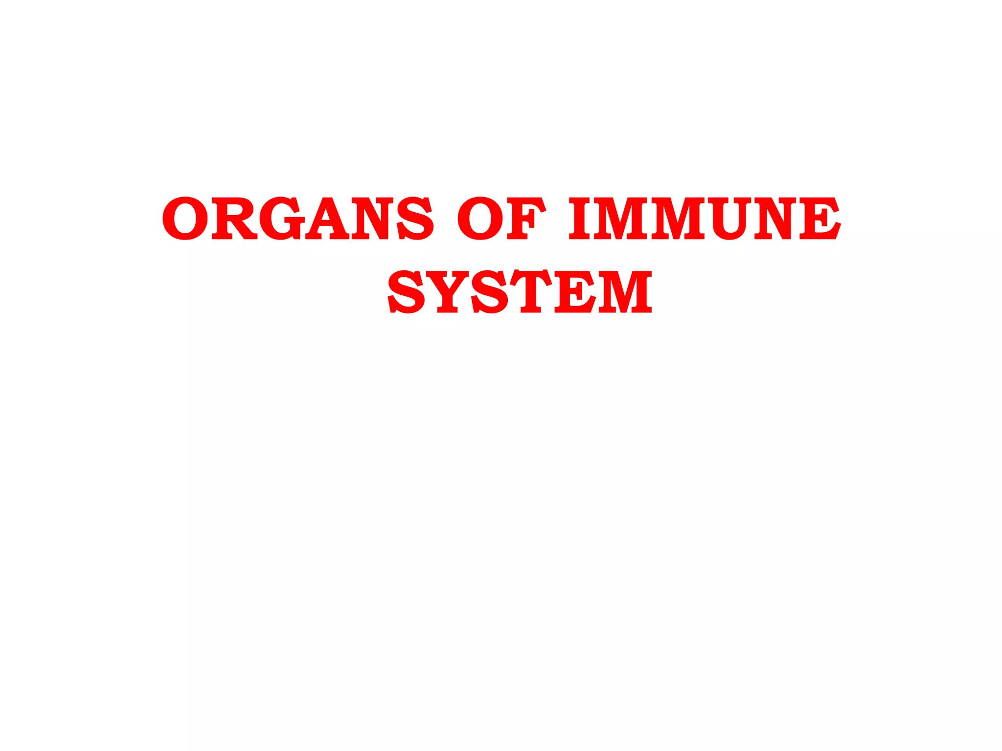 Organs of immune system | PPT