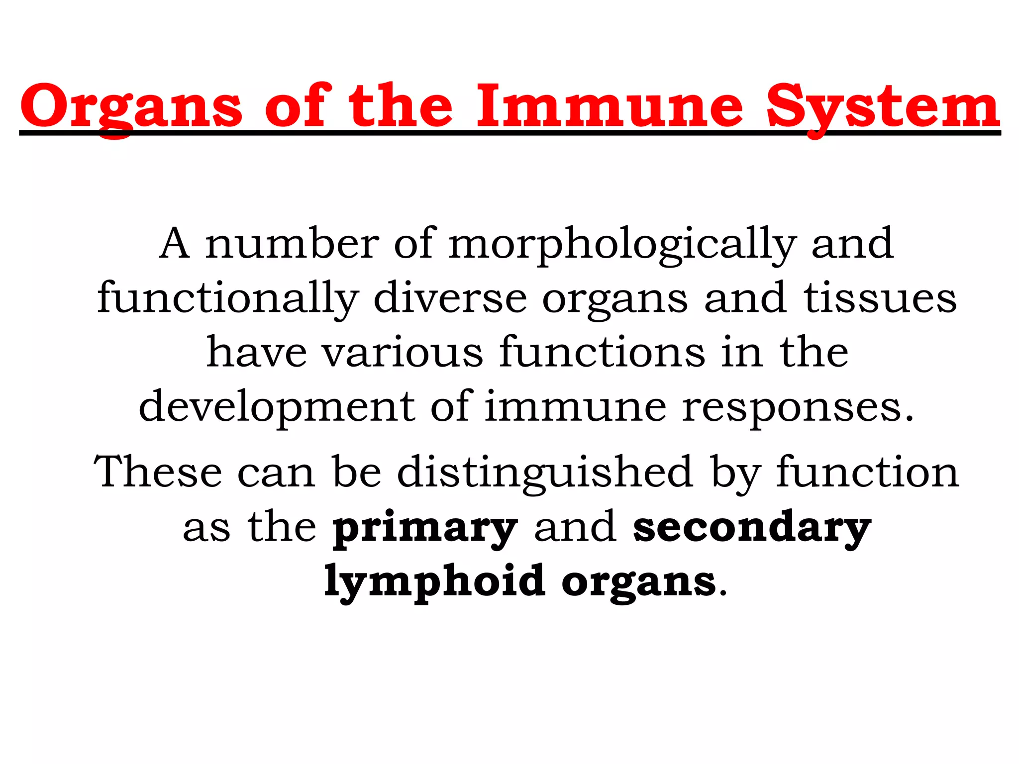 Organs of immune system | PPT