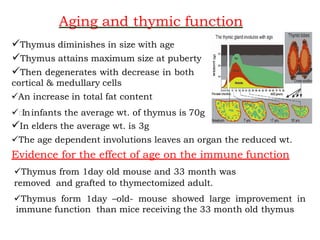 Organs of immune system | PPT