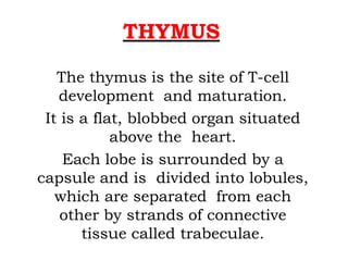 Organs of immune system | PPTX
