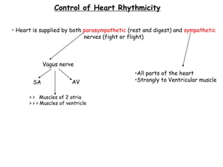 4. control, regulation and disorders heart | PPT