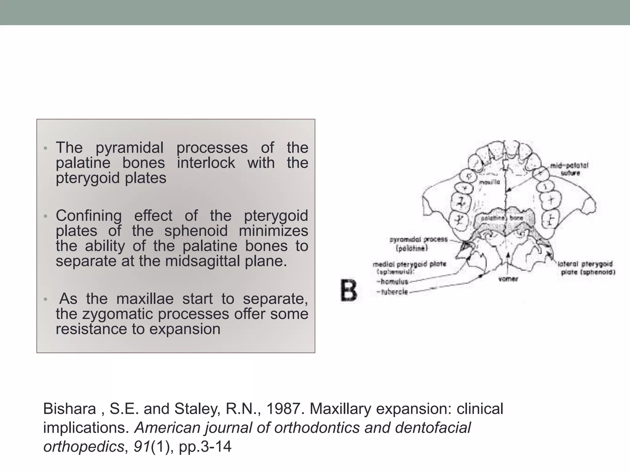RAPID MAXILLARY EXPANSION VS SLOW MAXILLARY EXPANSION | PPTX