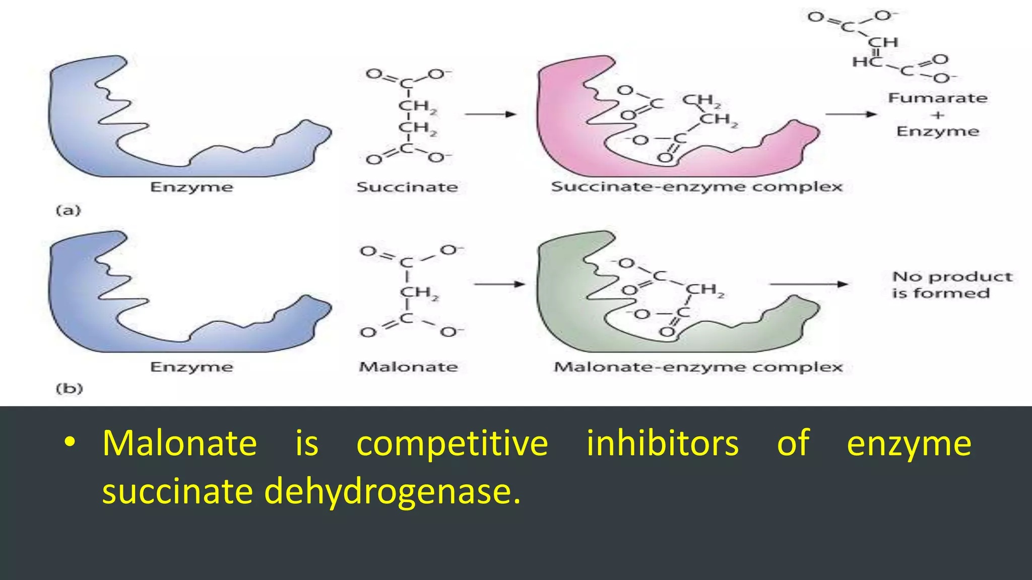 Enzyme inhibition - Competitive, Non- Competitive, Uncompetitive ...