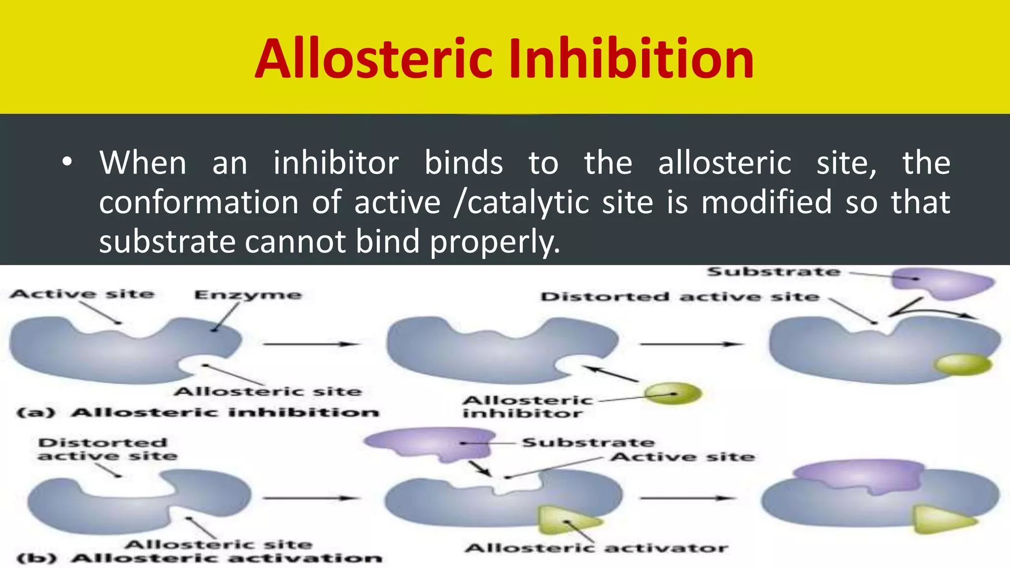 Enzyme inhibition - Competitive, Non- Competitive, Uncompetitive ...