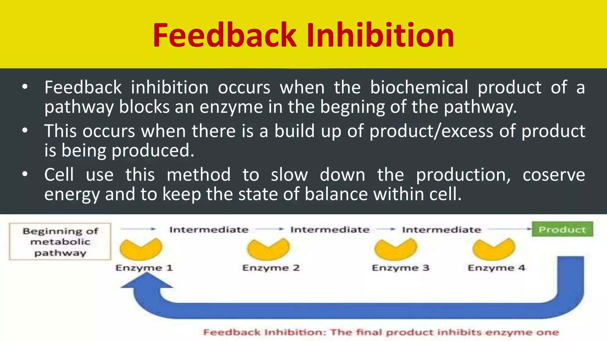Enzyme inhibition - Competitive, Non- Competitive, Uncompetitive ...
