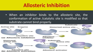 Enzyme inhibition - Competitive, Non- Competitive, Uncompetitive ...