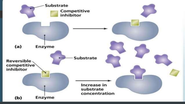 Enzyme inhibition - Competitive, Non- Competitive, Uncompetitive ...