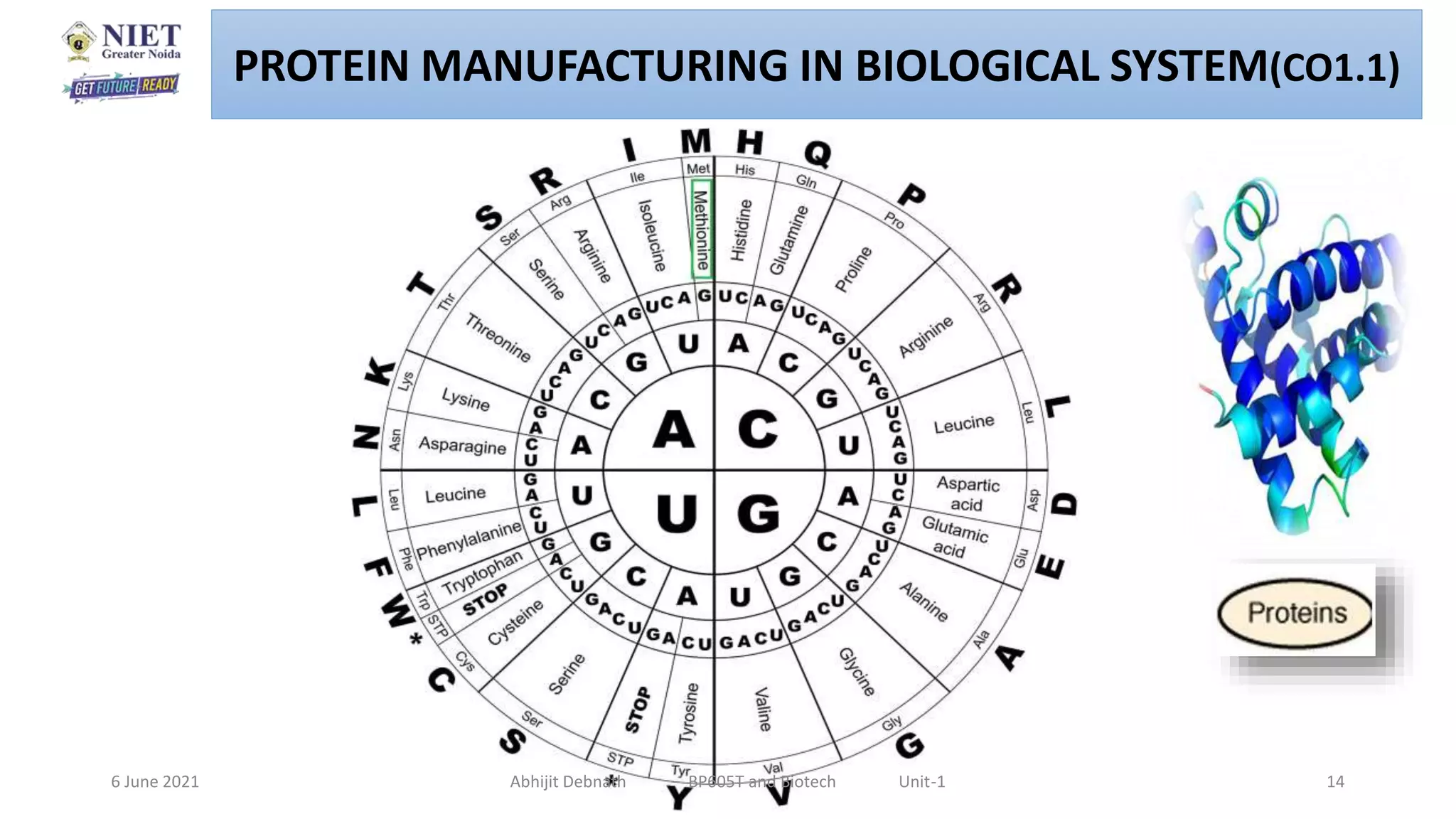 Introduction to Protein Engineering | PPTX