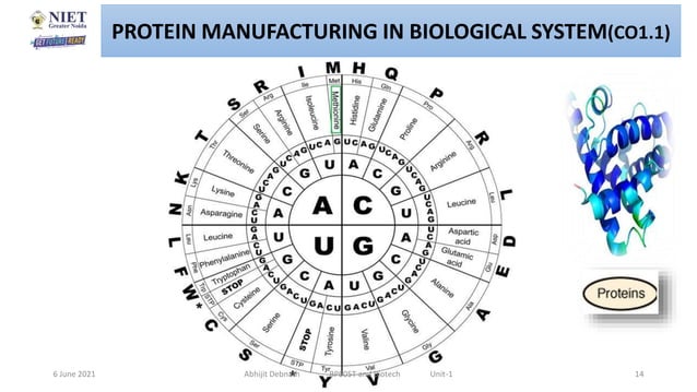 Introduction to Protein Engineering | PPTX