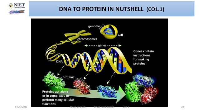 Introduction to Protein Engineering | PPTX