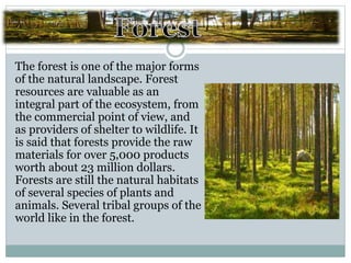 4. conservation of forest and its management | PPTX