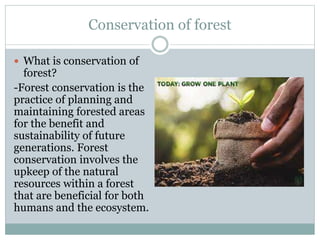 4. conservation of forest and its management | PPTX