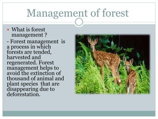 4. conservation of forest and its management | PPTX