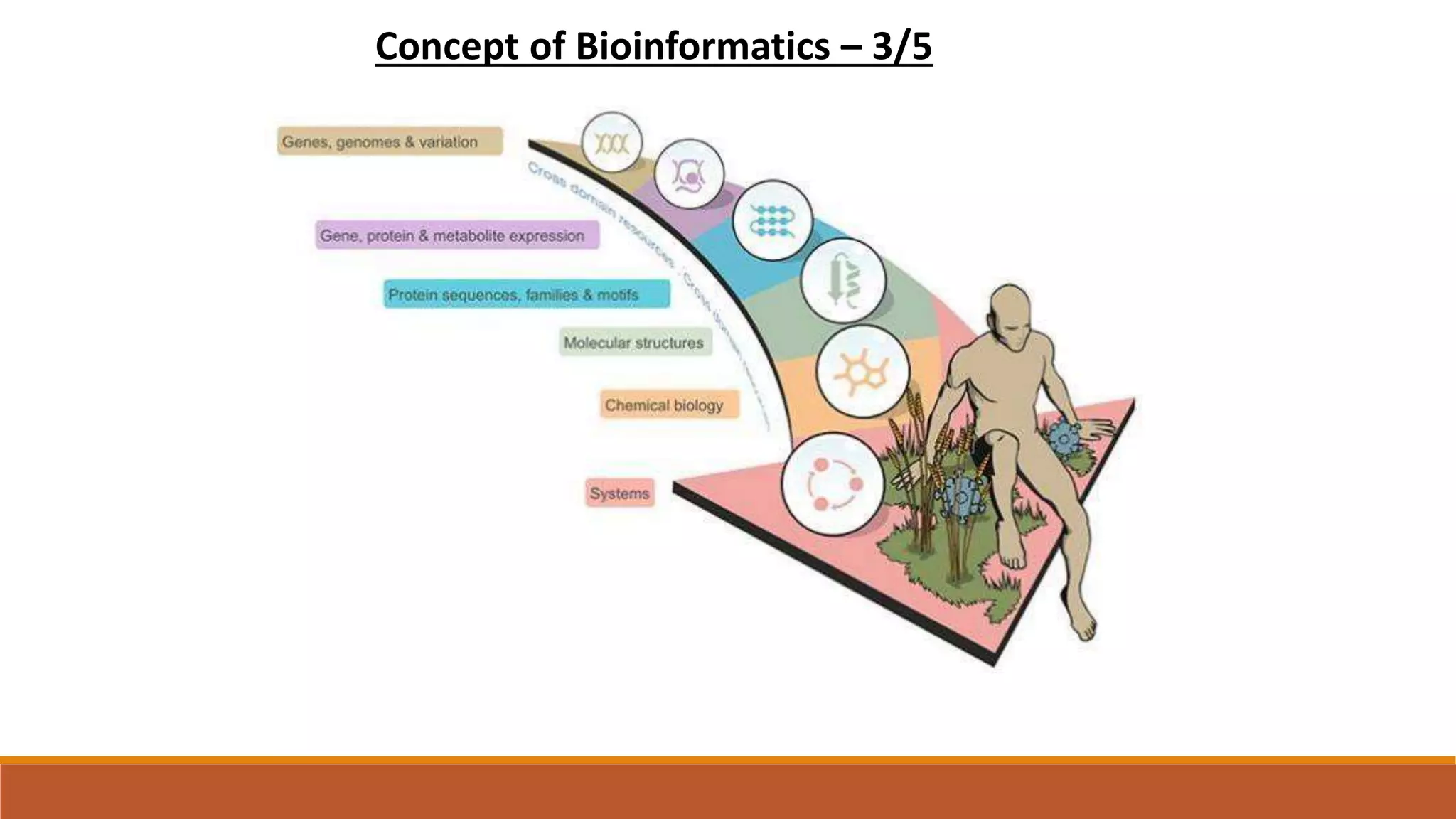 Bioinformatics | PPTX