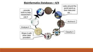 Bioinformatics | PPTX