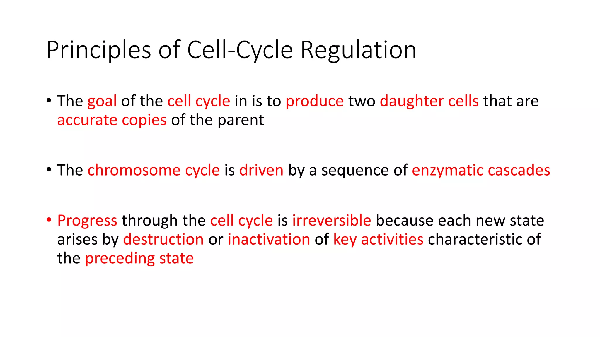 4. cell cycle | PPTX