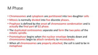 4. cell cycle | PPT