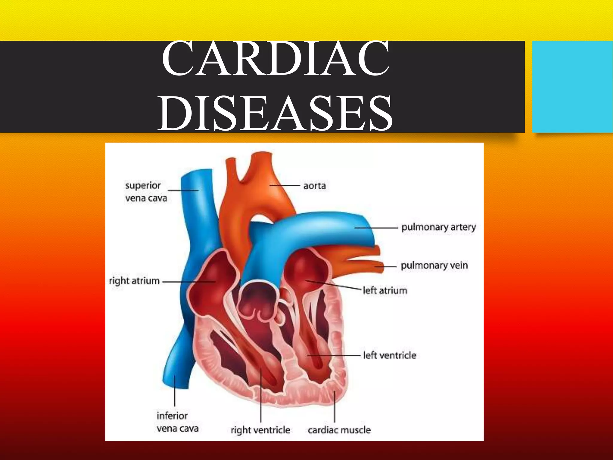 4. nursing manahement patient with myocardial infarction | PPTX