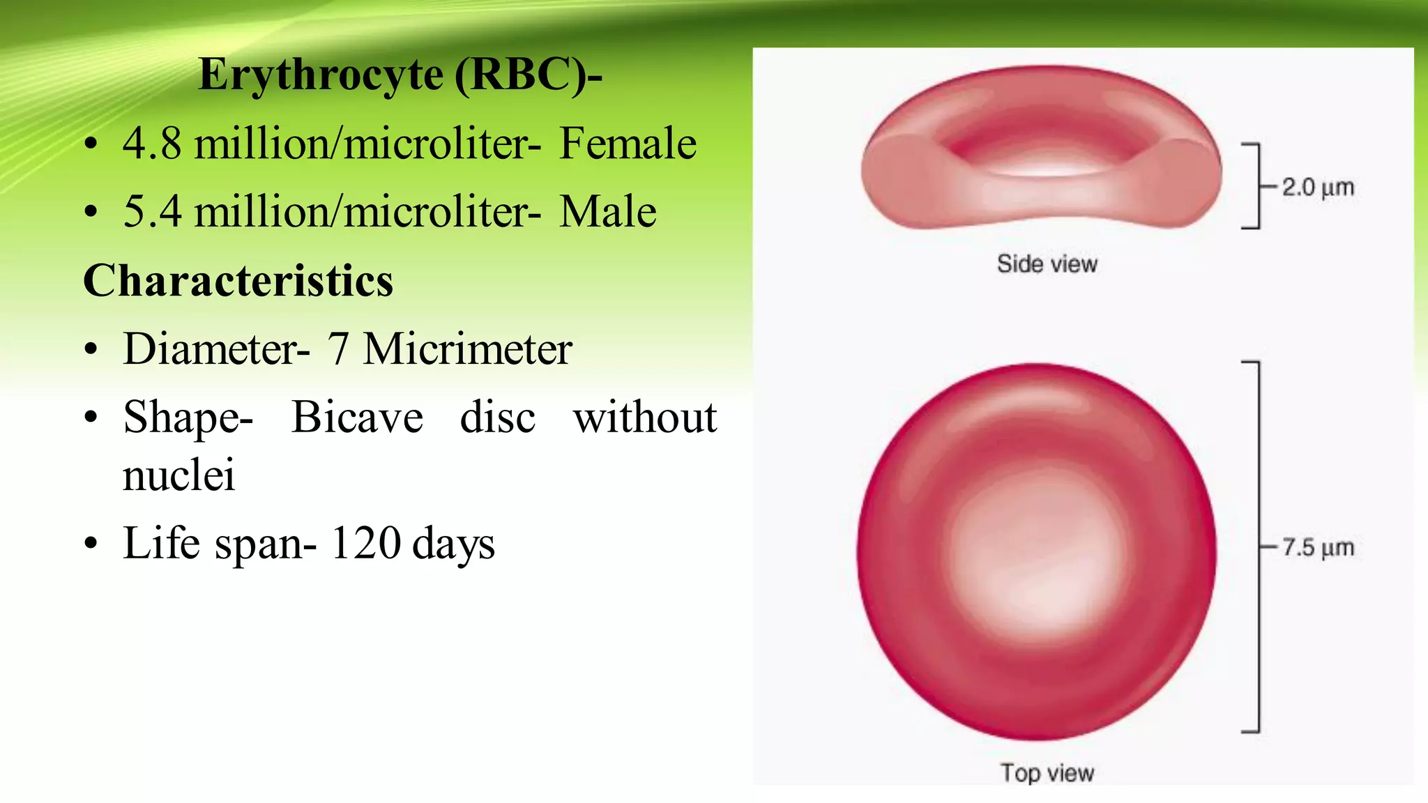 4. body fluid & blood | PDF