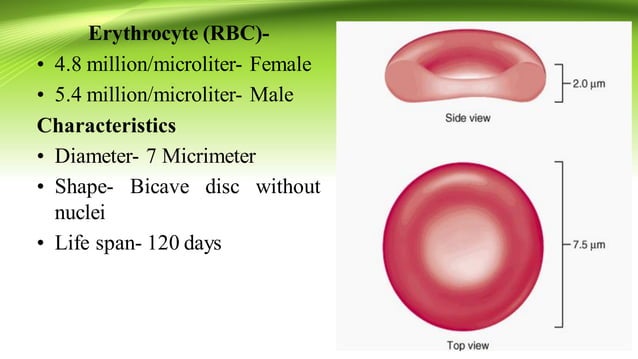 4. body fluid & blood | PDF | Blood Disorders | Diseases and Conditions