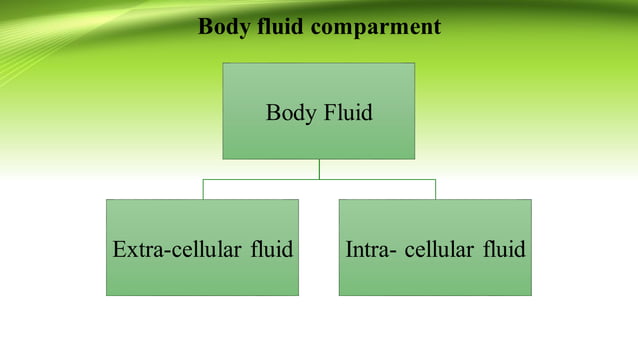 4. body fluid & blood | PDF | Blood Disorders | Diseases and Conditions