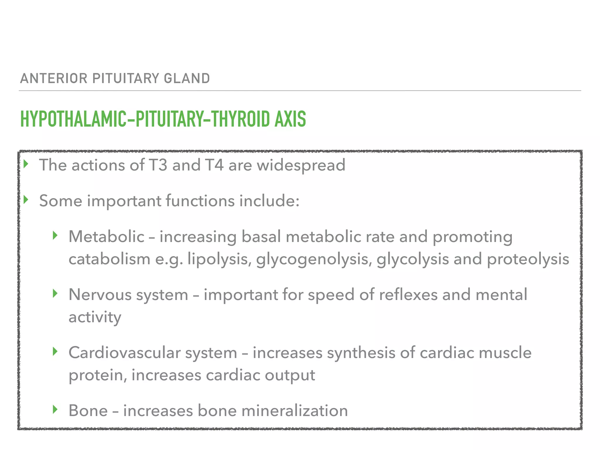 4. pituitary gland | PDF