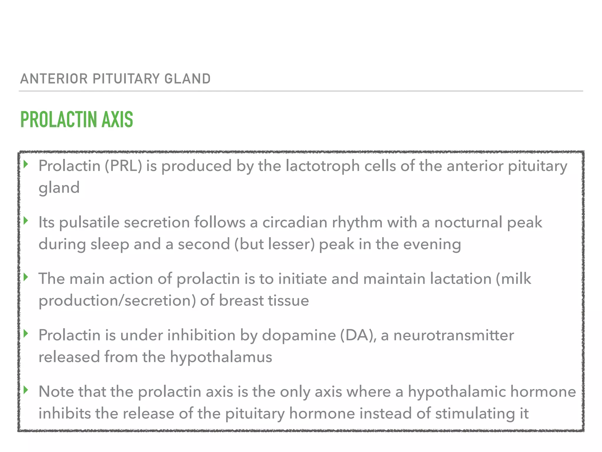 4. pituitary gland | PDF