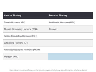 4. pituitary gland | PDF