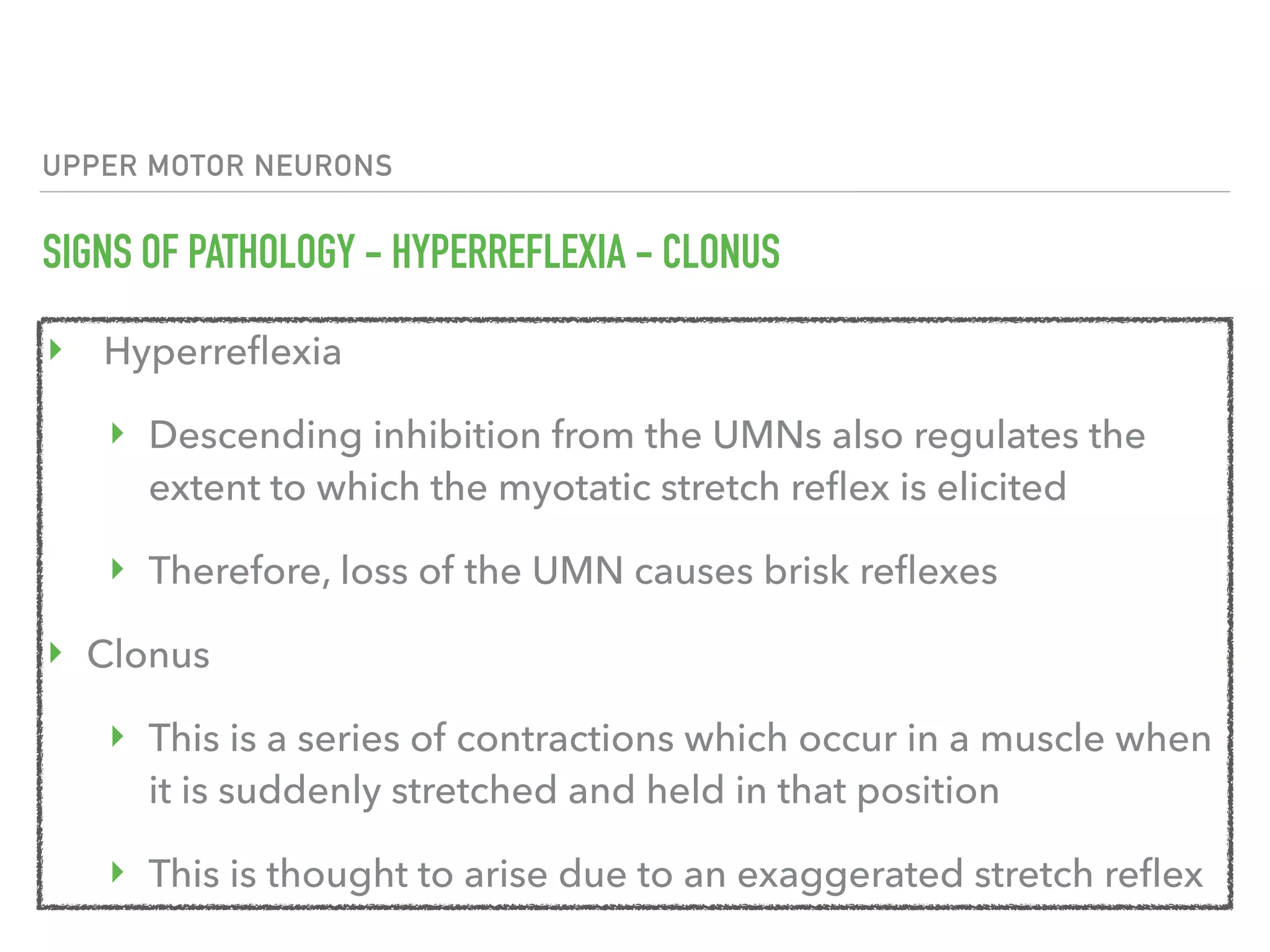 4. motor system | PDF