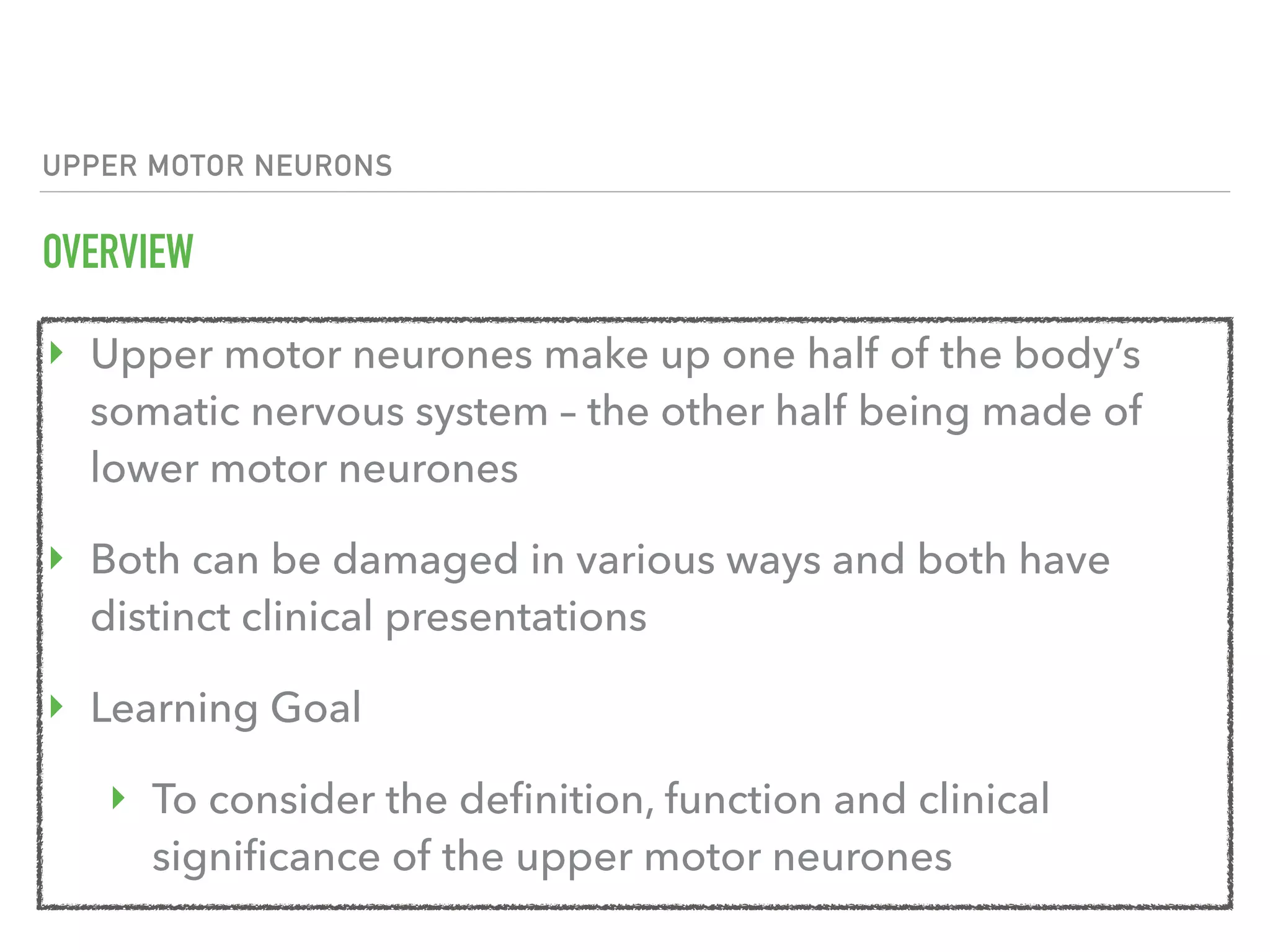 4. motor system | PDF | Brain and Nervous System Disorders | Diseases ...