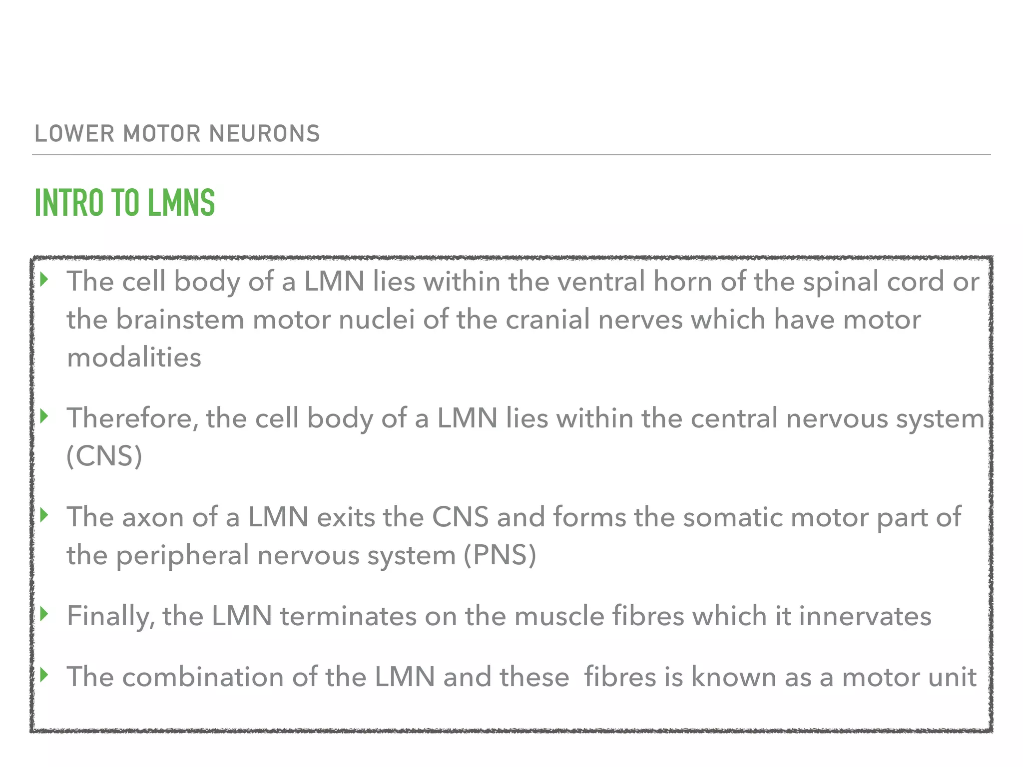 4. motor system | PDF | Brain and Nervous System Disorders | Diseases ...
