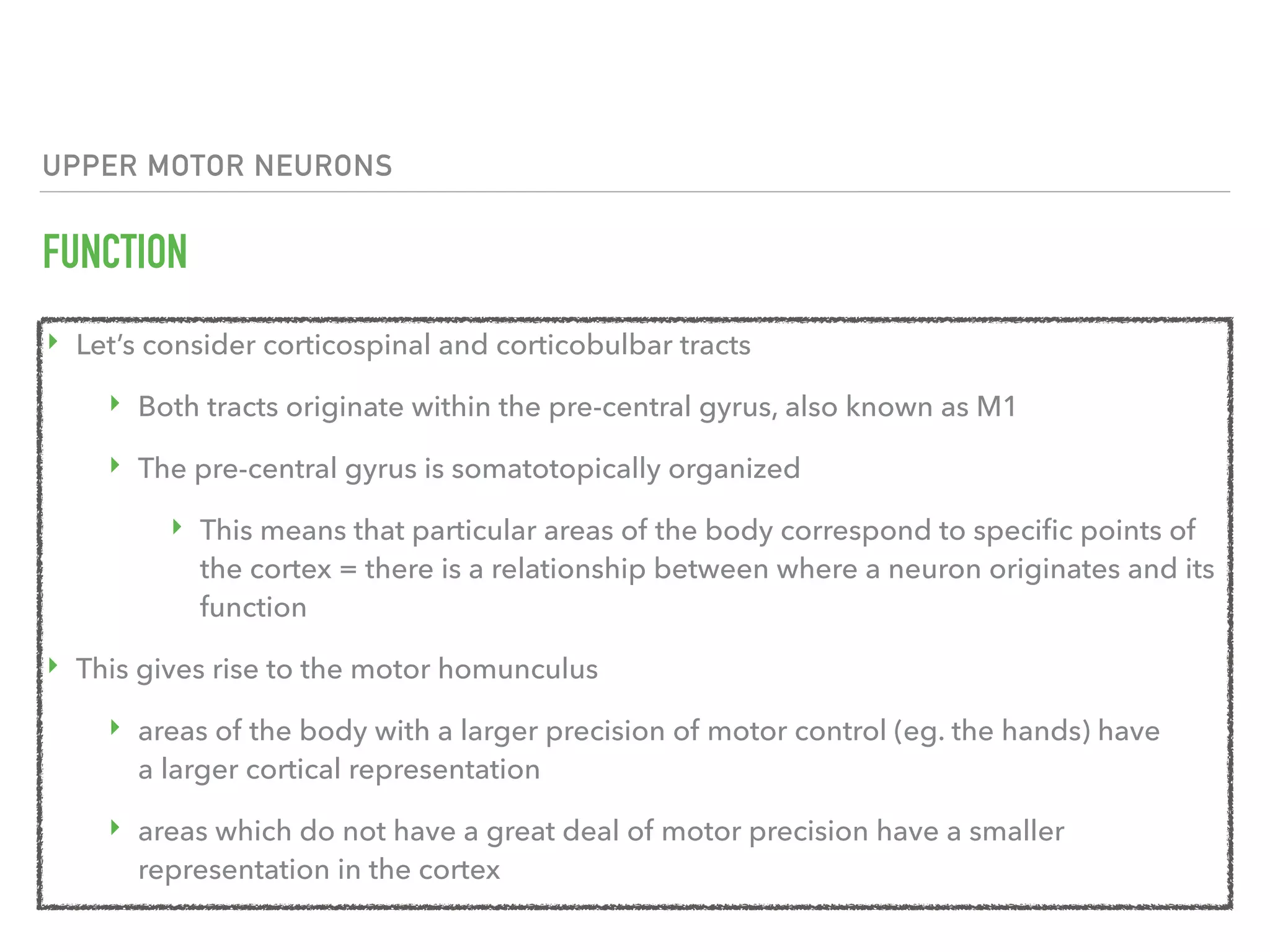 4. motor system | PDF | Brain and Nervous System Disorders | Diseases ...