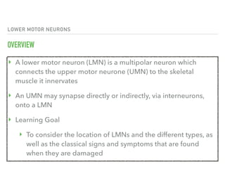 4. motor system | PDF