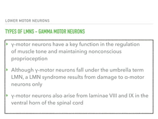 4. motor system | PDF