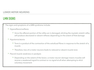 4. motor system | PDF