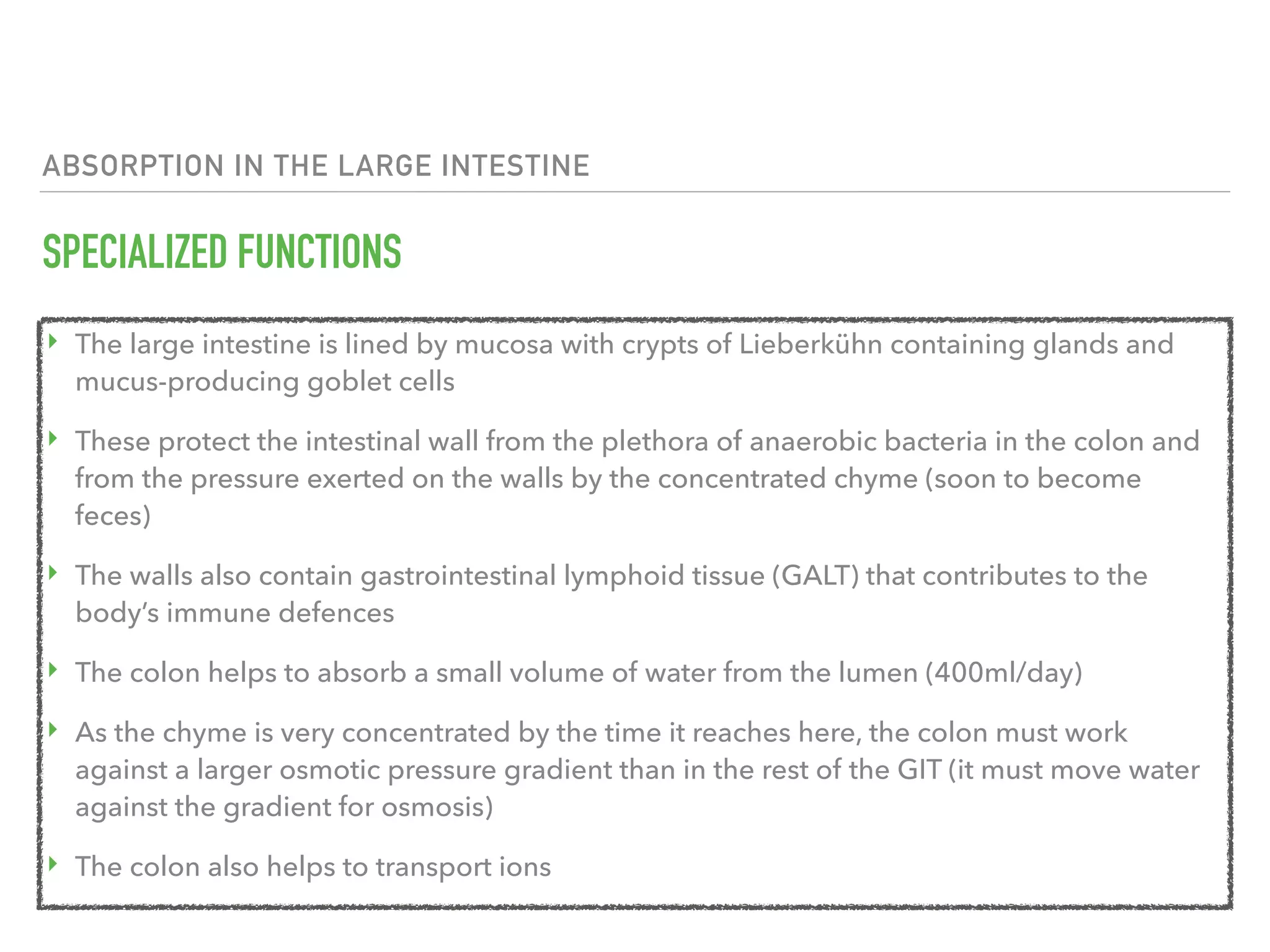 4. the large intestine | PPT
