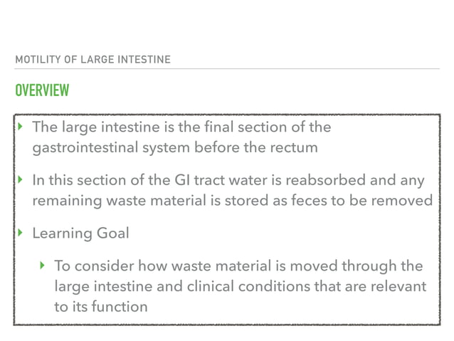 4. the large intestine | PPT