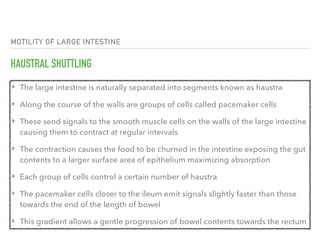 4. the large intestine | PPT