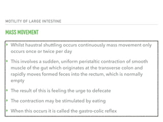 4. the large intestine | PPT