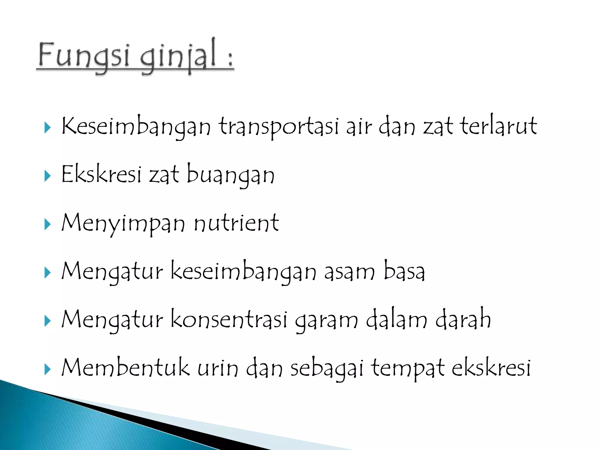 sistem perkemihan | PDF