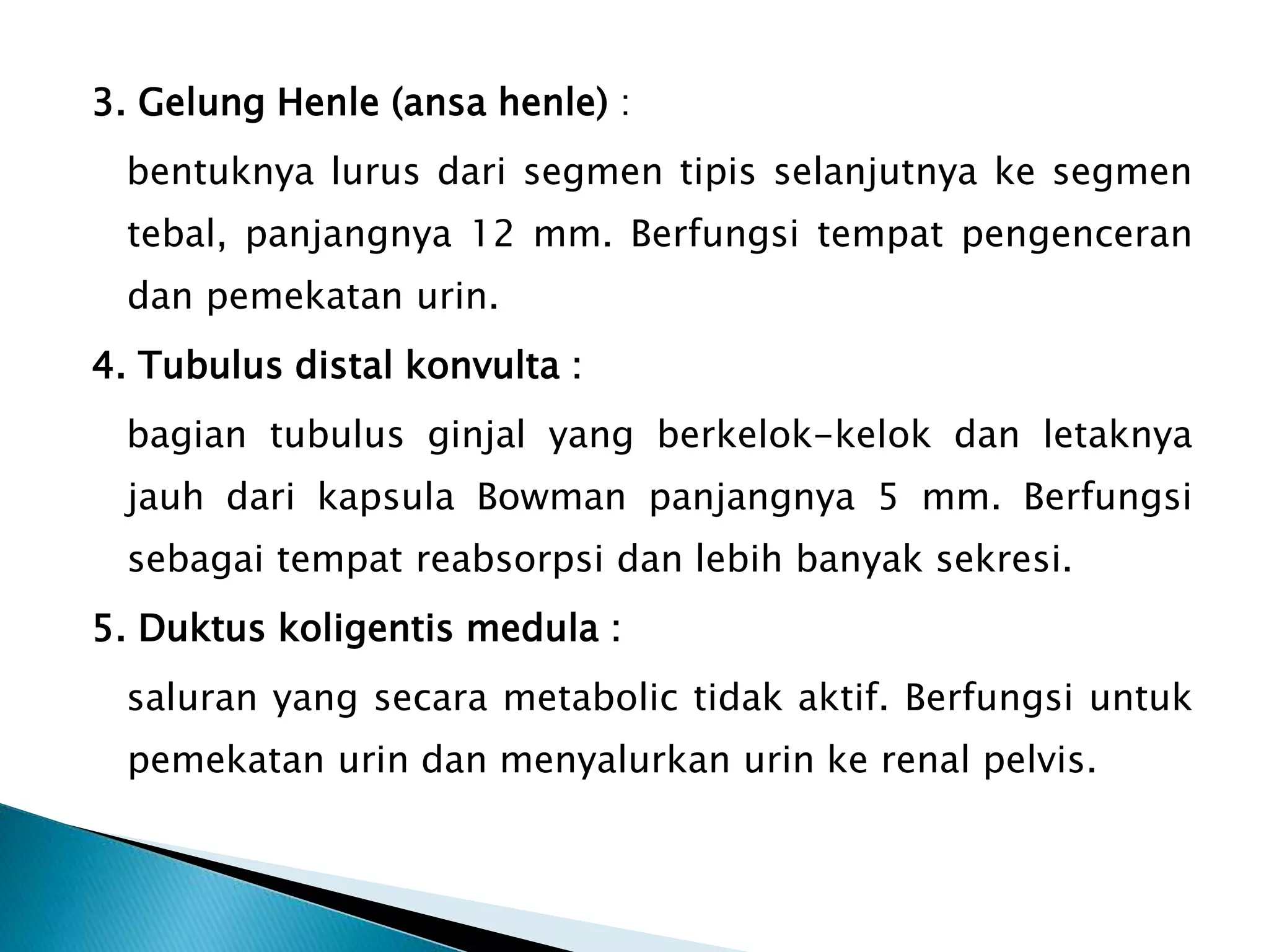 sistem perkemihan | PDF